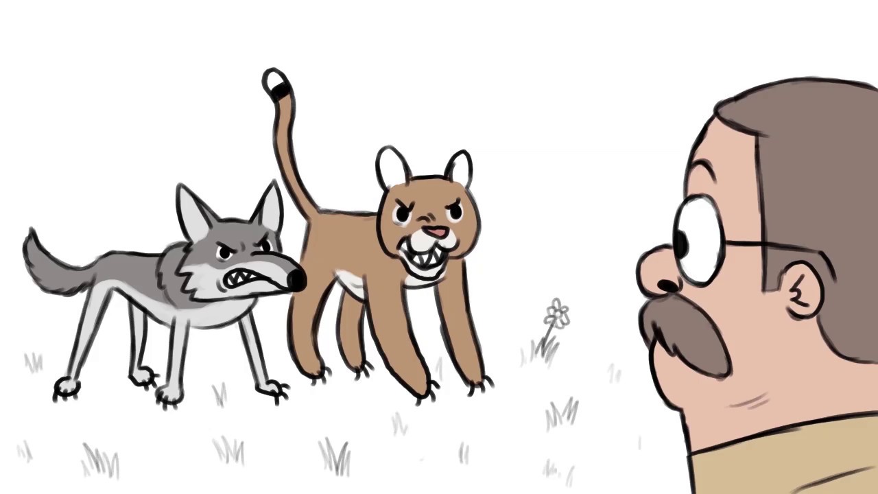 Murphoolery / Bears - YouTube