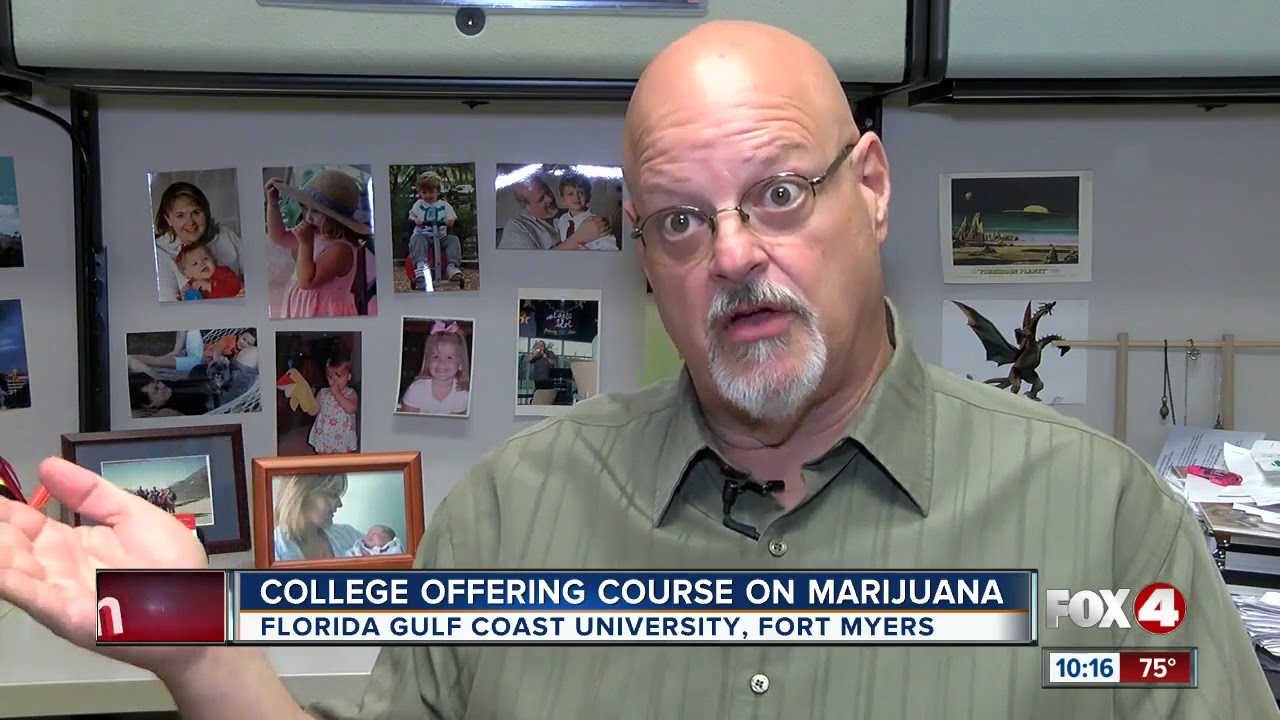 Marijuana class to be offered at FGCU this fall - YouTube
