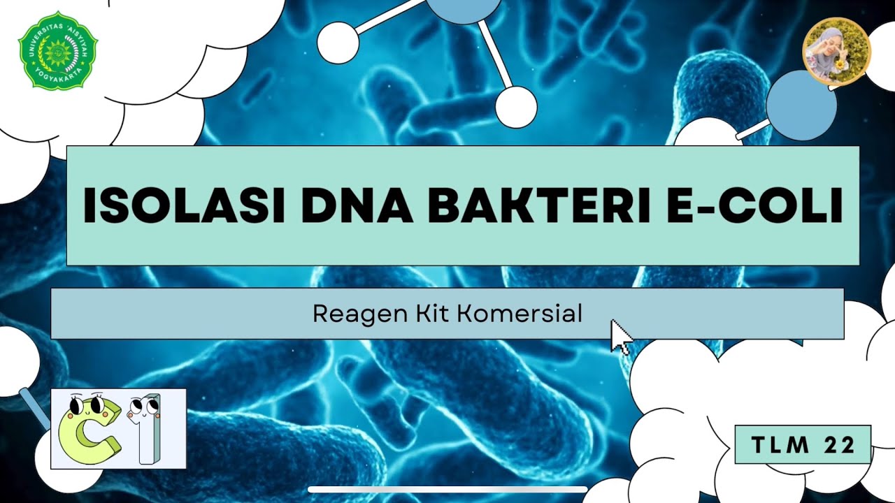 ISOLASI DNA BAKTERI MENGGUNAKAN KIT KOMERSIAL - YouTube