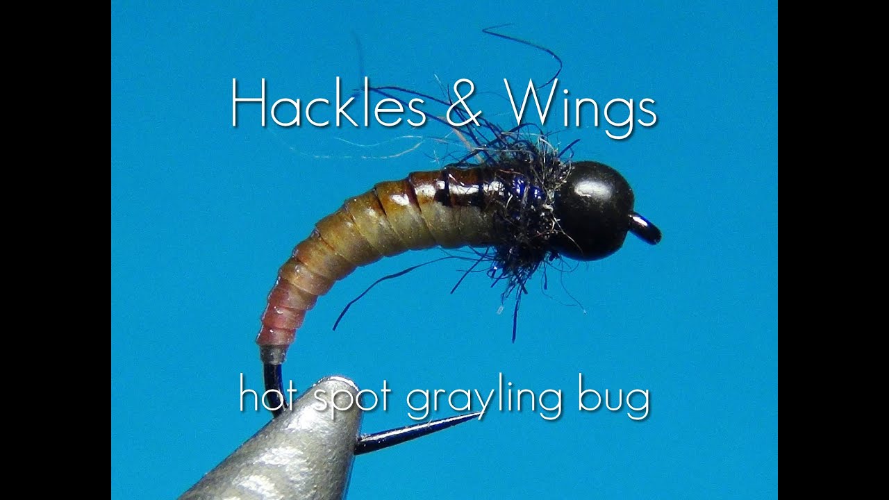 Fly Tying Hot Spot Grayling Bug | Hackles & Wings - YouTube