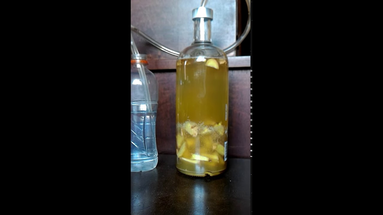 Bebida fermentada caseira artesanal de gengibre (GINGER BEER) - YouTube