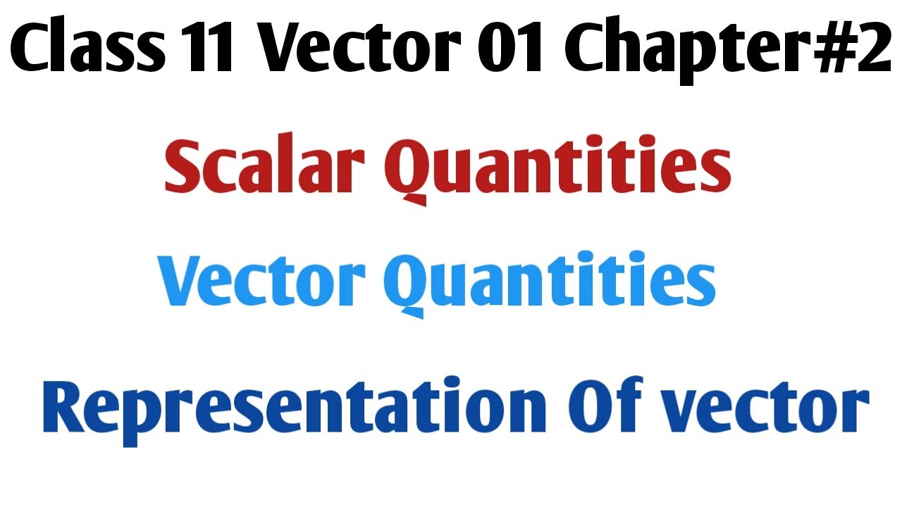 Class 11 Vector 01 Scalar Quantities, Vector Quantities, Representation ...