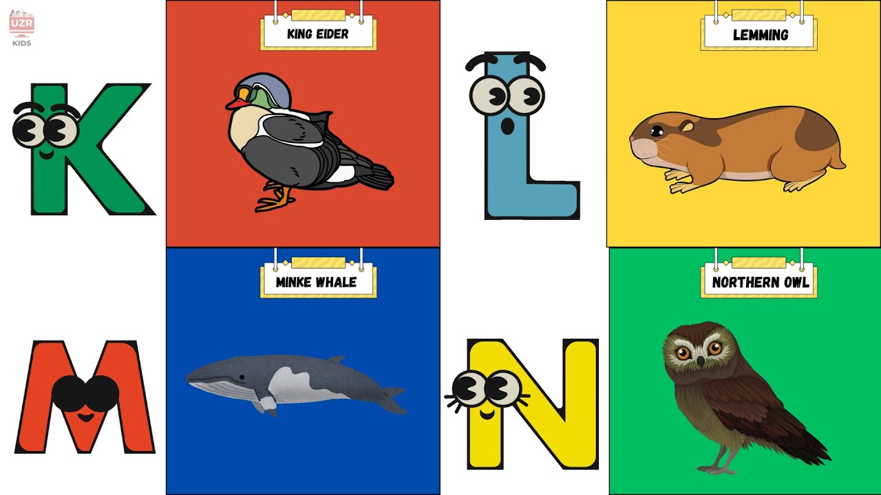 ️ ABC Arctic Animal Song for Kids | A to Z Snowy Animals and Fun ...