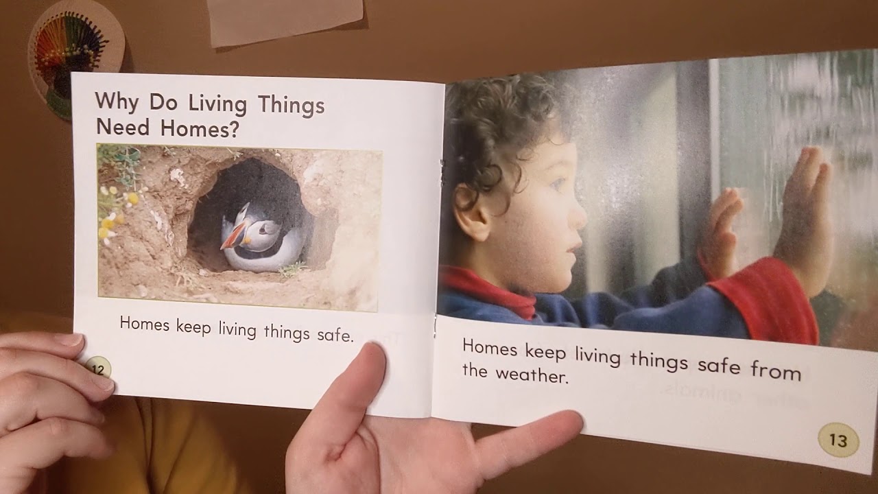 Why Living Things Need.... Homes - YouTube