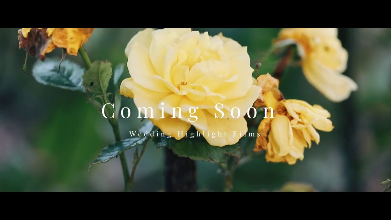 Coming Soon | Highlight Wedding Films from Your Choice Photography ...