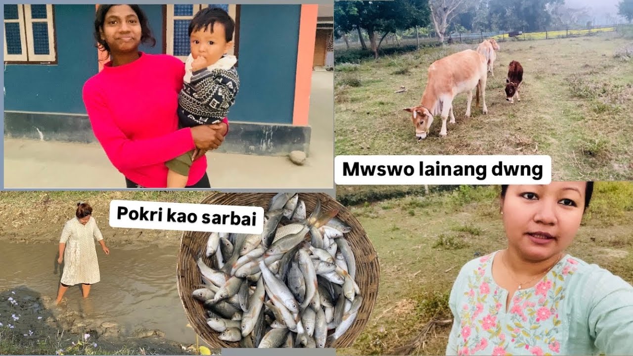 Mwswo lainangbai || pokri kao sarbai jwngha || Bodo Family in Bodoland ...