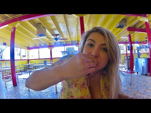 New Mexico Day 3! Authentic Tacos, Art Boutiques, and Nature Walks