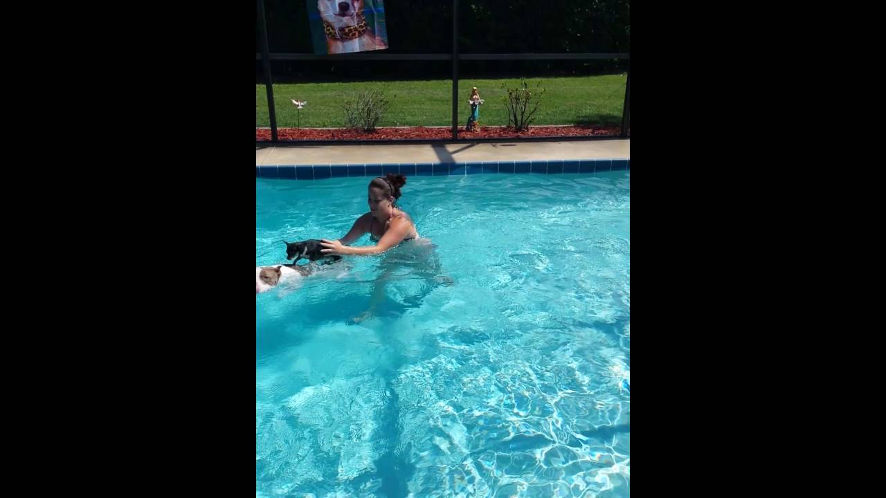 Best friends swimming - YouTube