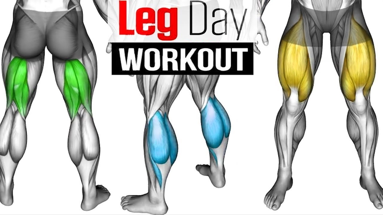 Thigh and Back Leg Muscle Exercises for Stronger Legs - YouTube