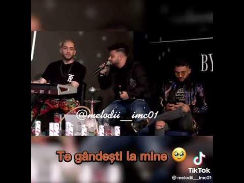 Lele Nu este zi sa nu plâng Oficial cover ️ - YouTube