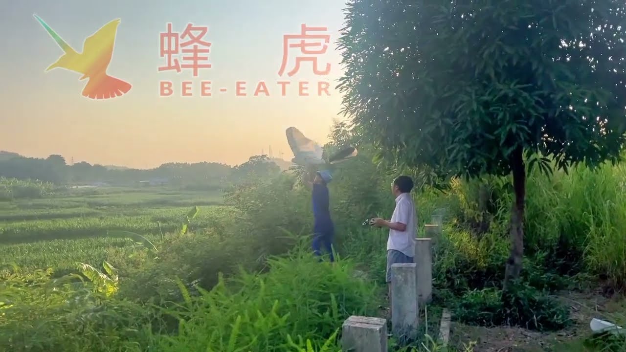 Robot Bird WindChaser with Flapping Artificial-Feathered Wing - YouTube