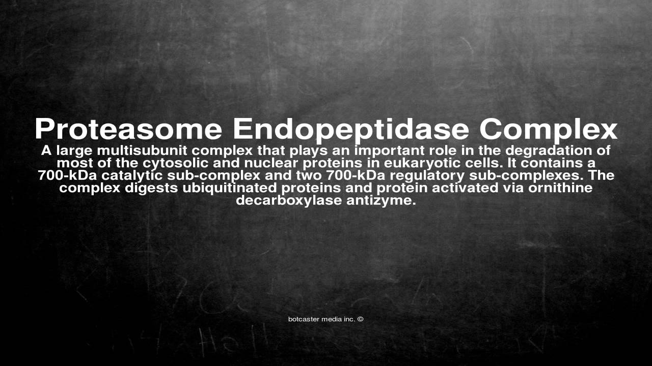 Medical vocabulary: What does Proteasome Endopeptidase Complex mean - YouTube