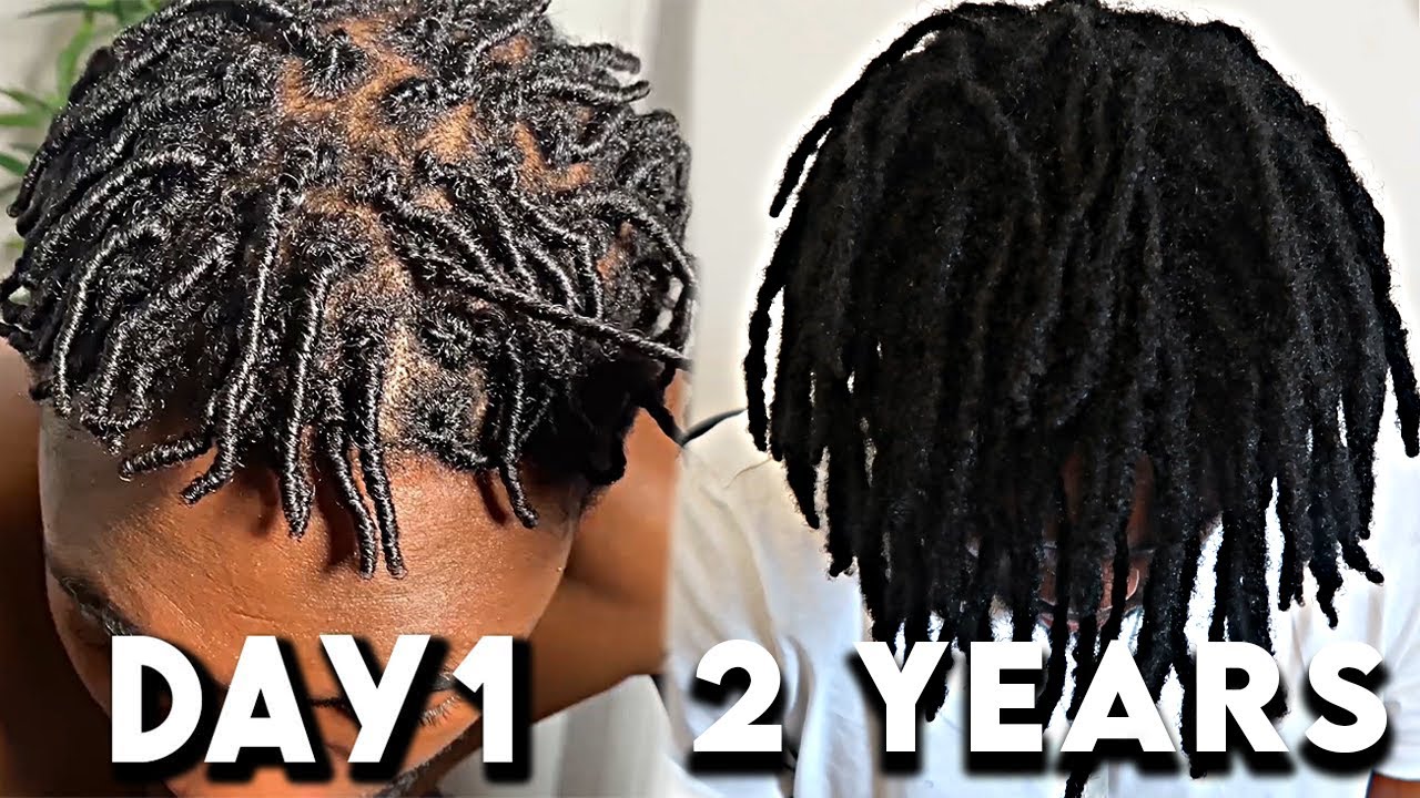 2 Year Visual Locs Journey | 1 - 24 Months Starter Locs Journey ...