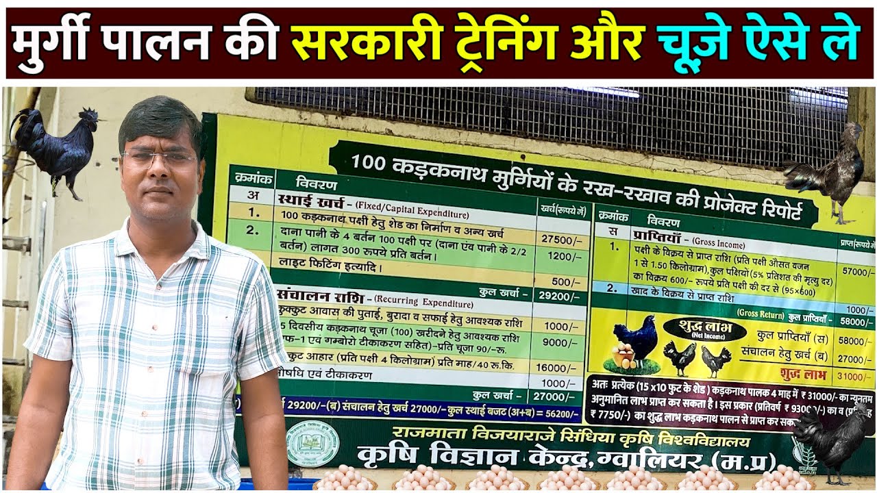 मुर्गी पालन की ट्रेनिंग और चूज़े ऐसे ले Poultry Farming Training।Desi ...