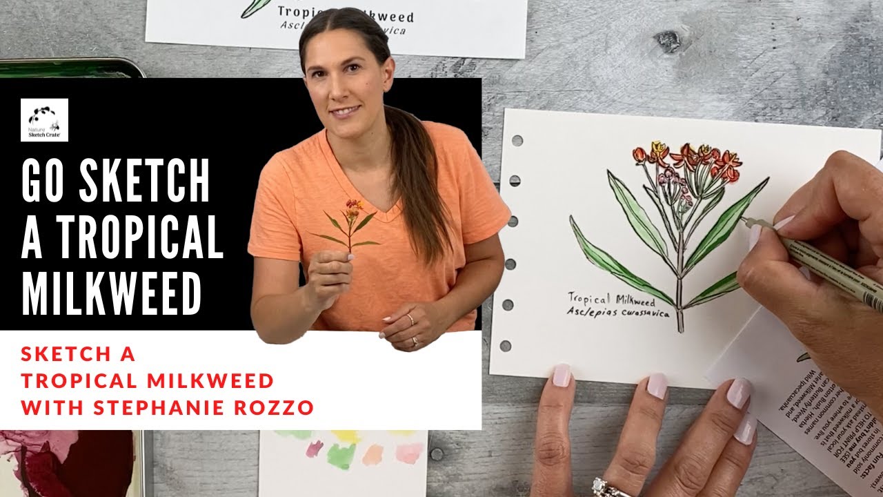 YOU CAN PAINT and DRAW THIS FLOWER! Tropical Milkweed applied ...