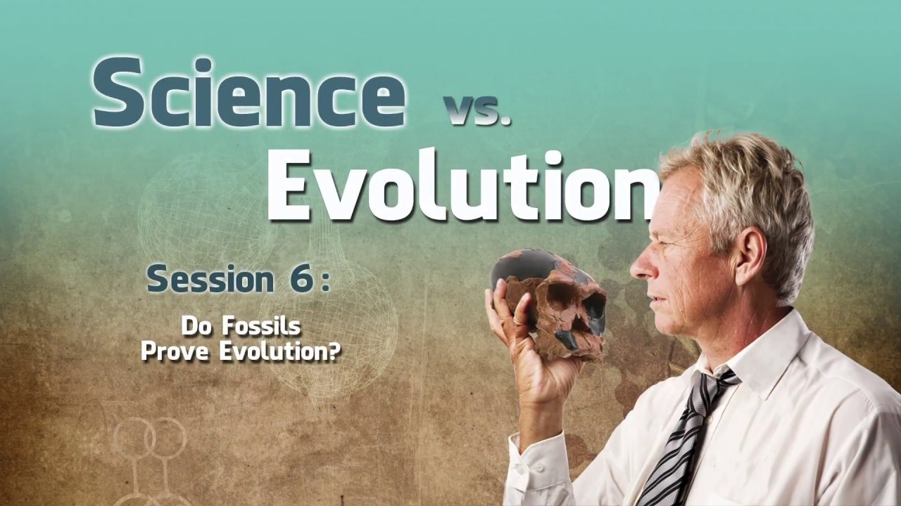 6 Do Fossils Prove Evolution Science vs Evolution - YouTube