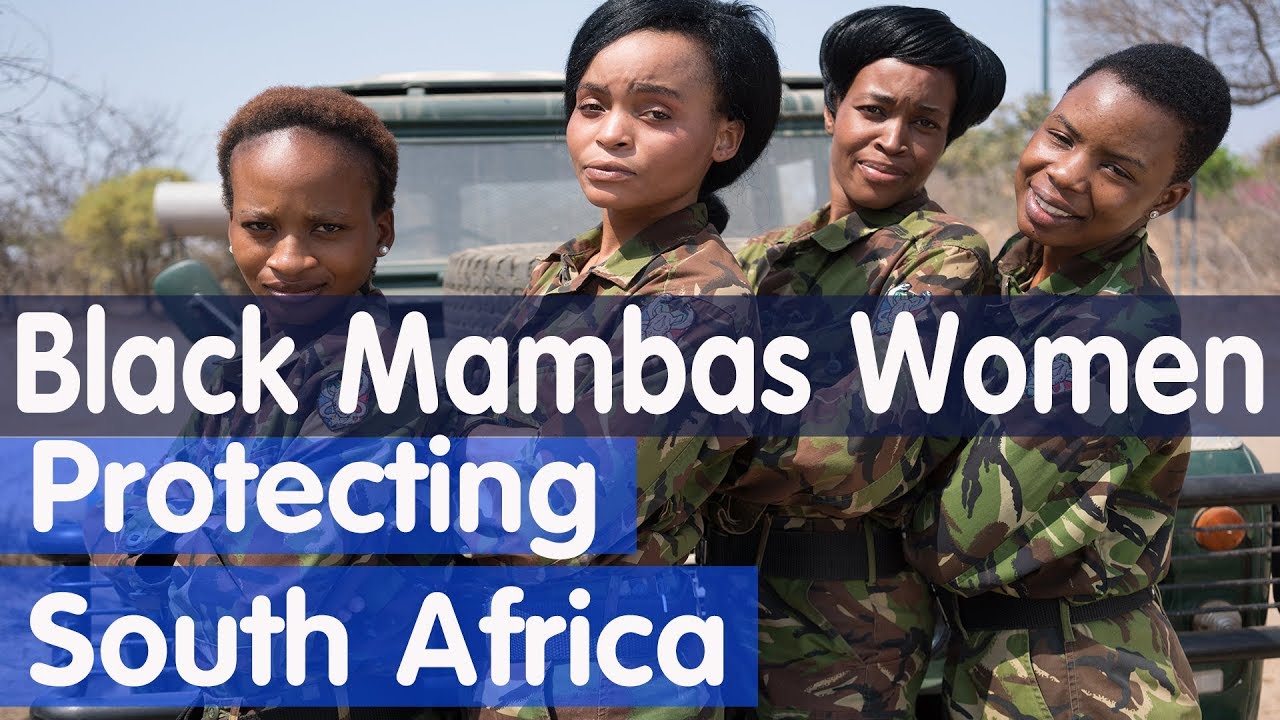 Black Mambas Women Protecting South Africa Learn English - YouTube