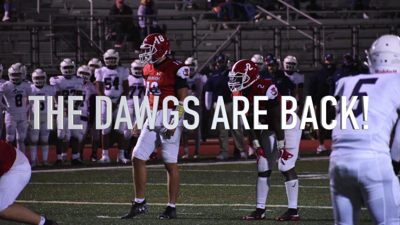 DAWGS ARE BACK! - YouTube