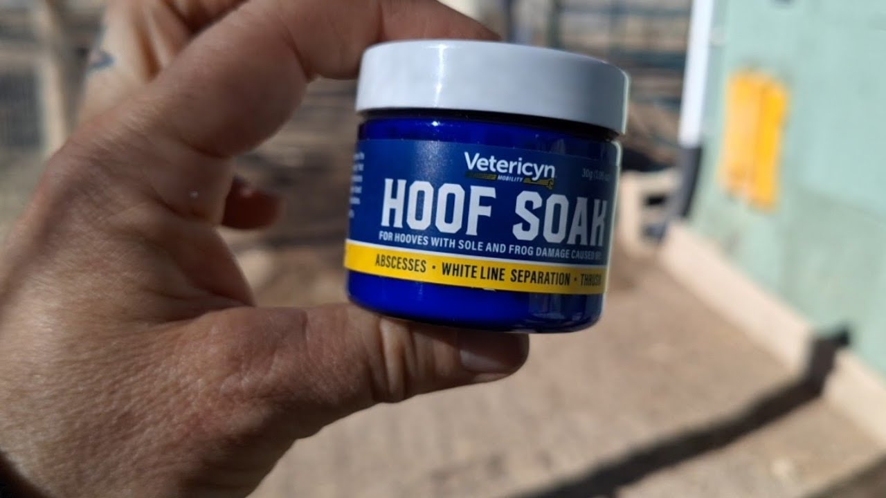 Hoof Soak and Hoof Boot Review - YouTube
