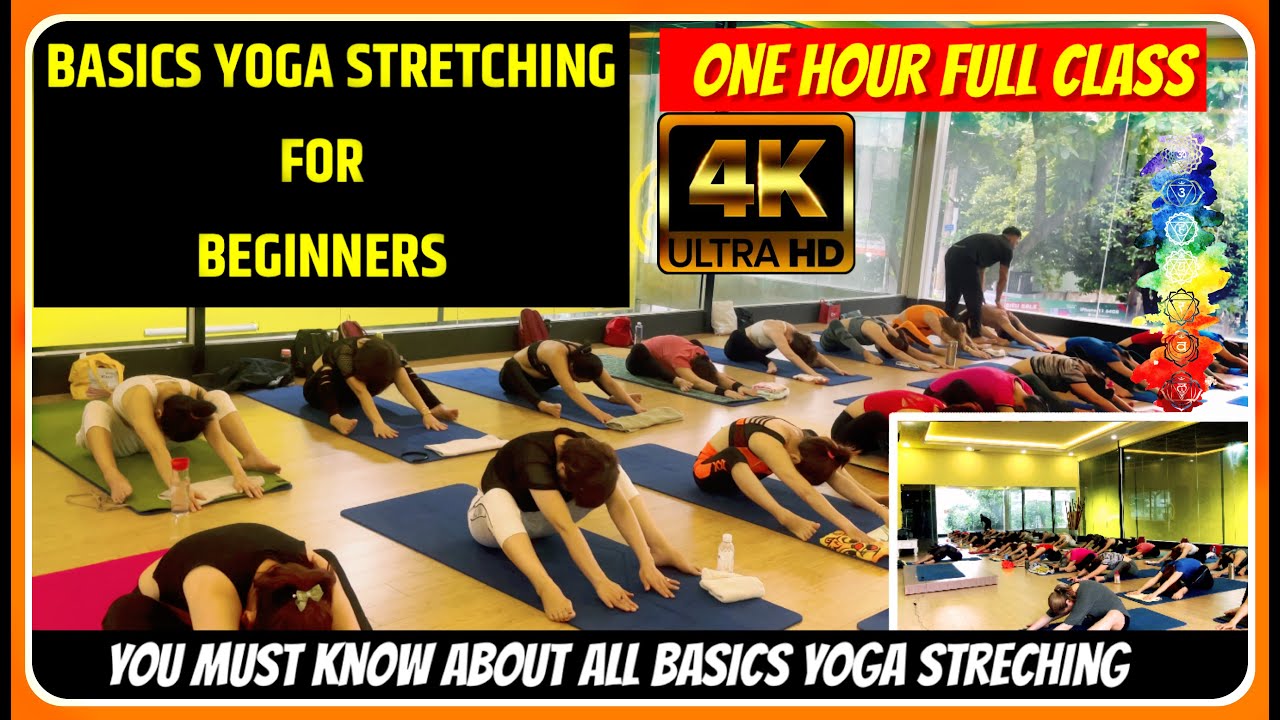One Hour Basic Yoga Class Must know | Complete Beginners 1 Hour Full ...