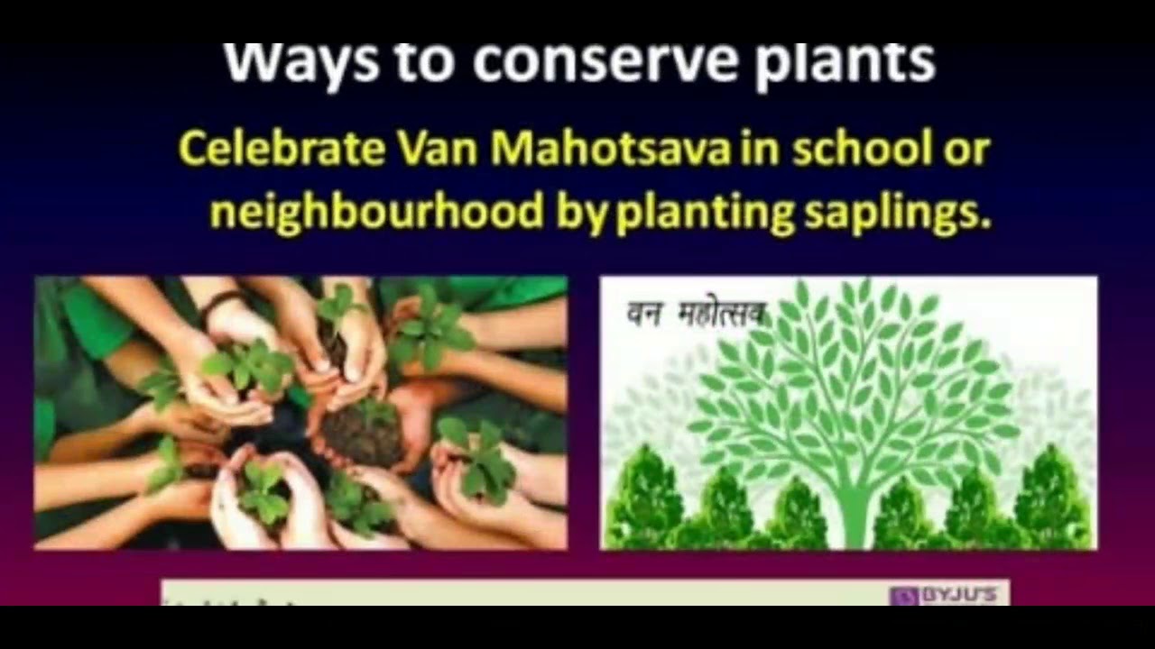 Class 3rd Science Lesson 4 explanation Way To Conserve Plants class-3rd-science-lesson-4-explanation-way-to-conserve-plants
