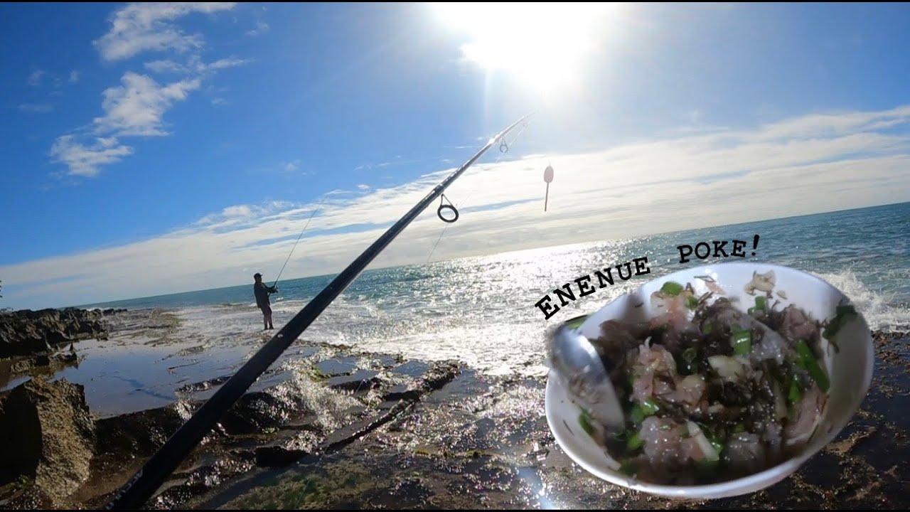 Gotta Pay Our Dues | HAWAII Fishing | Bonus HAWAIIAN Enenue(RudderFish ...