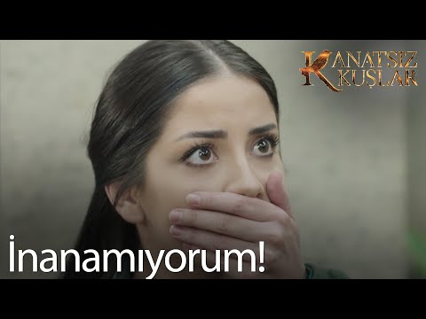 Zeynep Ahmet'in başına gelenleri öğreniyor! -  Kanatsız Kuşlar🕊🕊 22. Bölüm
