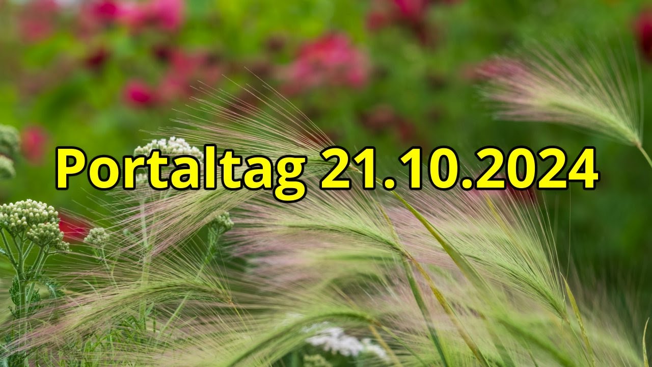 IK - Wind - Leichtigkeit und Bewegung - YouTube