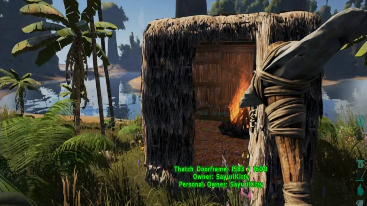 Ark Survival Evolved - Thatch Huts, Turtle Taming Oh my! S1E2 - YouTube