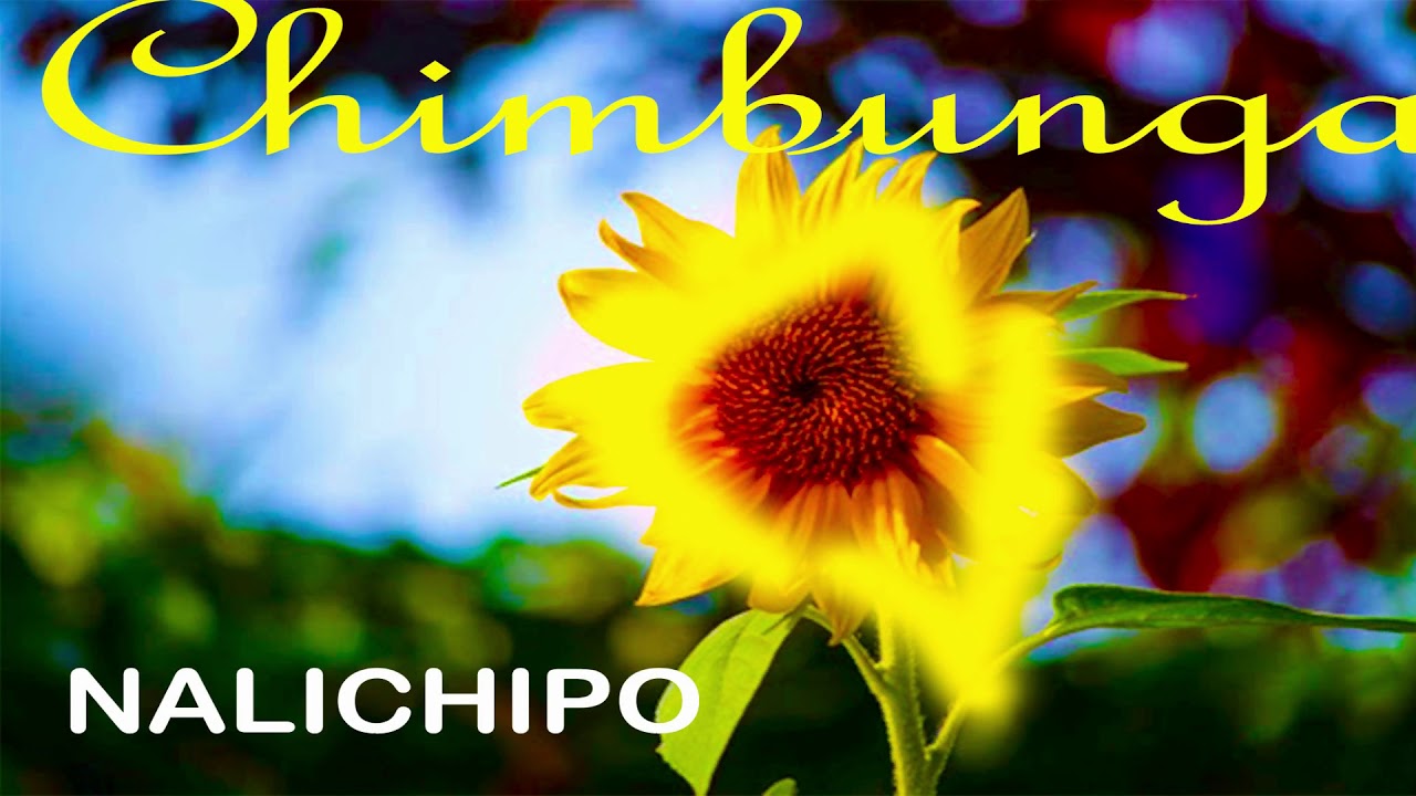 Chimbunga - Nalichipo (Official Audio) - YouTube