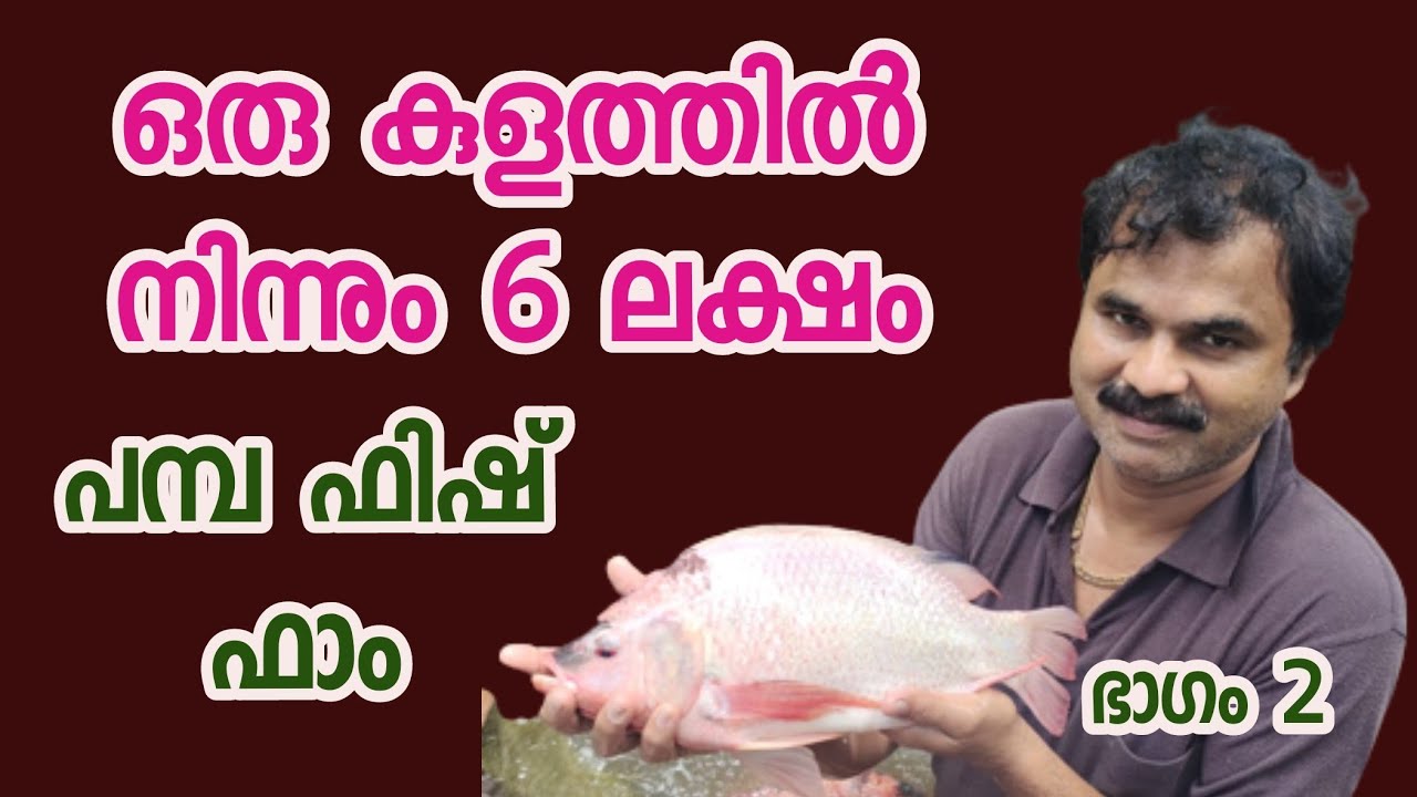 PAMBA FARM HOUSE VISIT.| Part 2 | PAMBA FISH FARM ALAPPUZHA - YouTube
