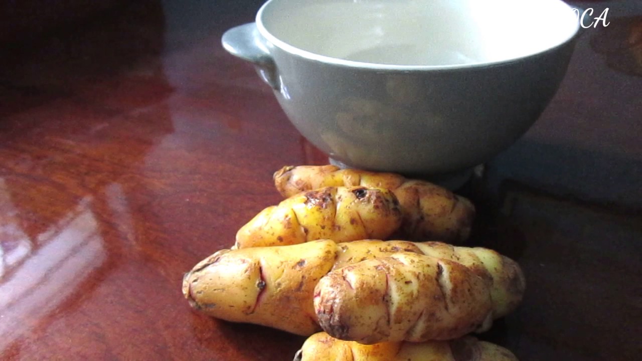 OCA - OCAS: PROPIEDADES Y BENEFICIOS - YouTube