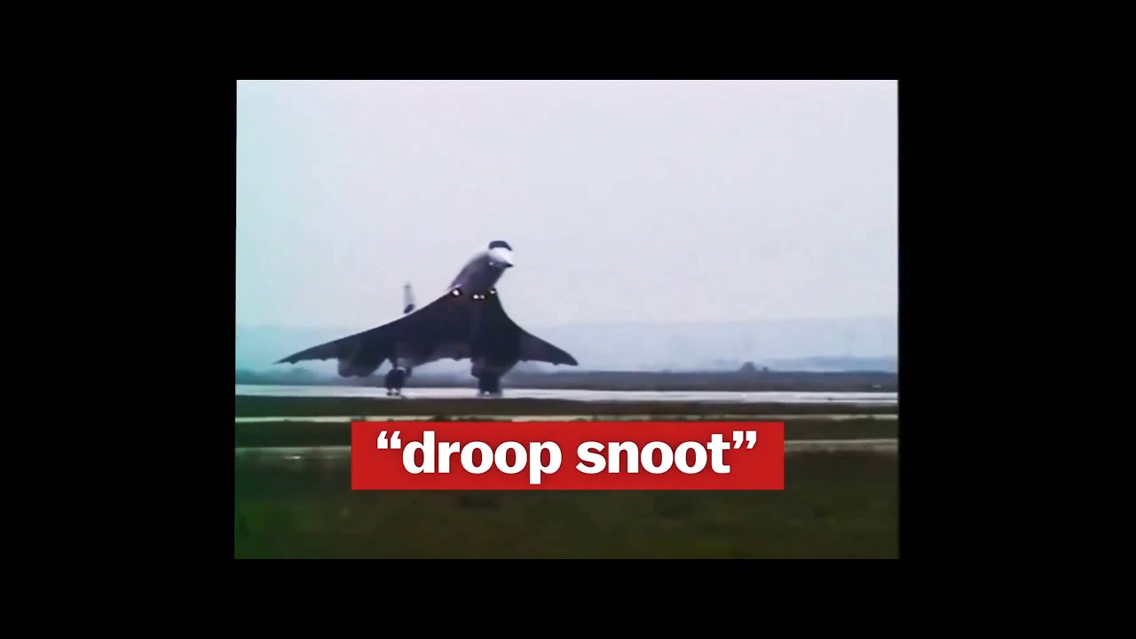 The snoot drooped - YouTube