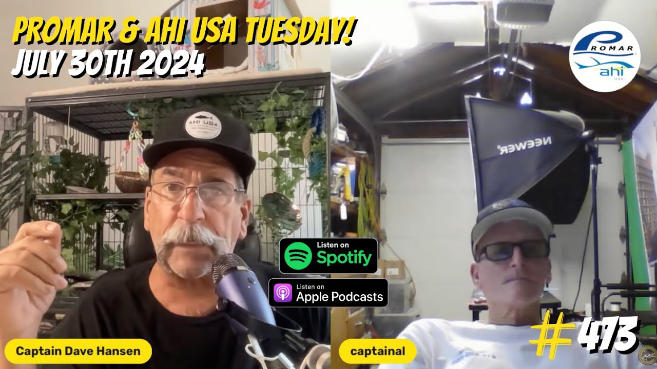 Promar & Ahi USA Tuesday! | Your Saltwater Guide Show w/ Captain Dave ...