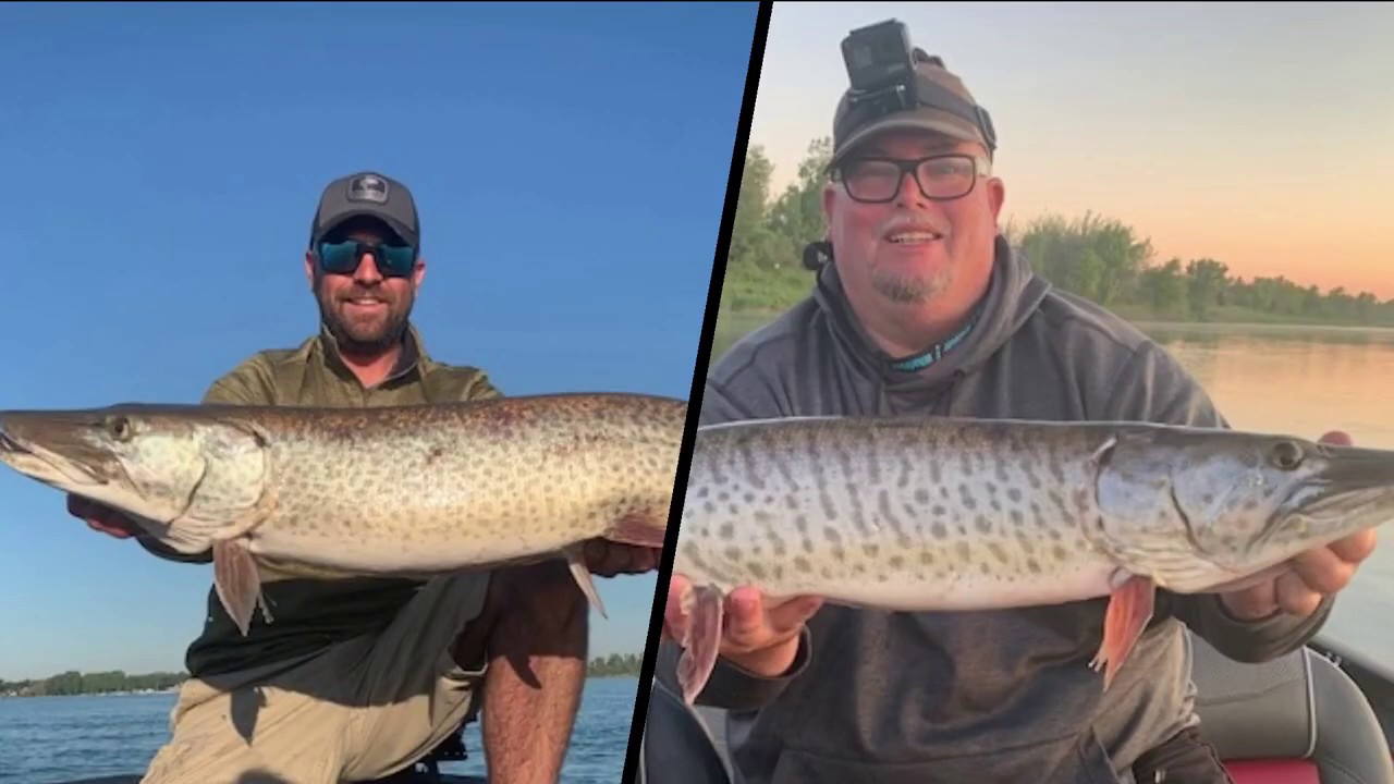 DETROIT RIVER MUSKIE FISHING JUNE 17, 2020 - YouTube