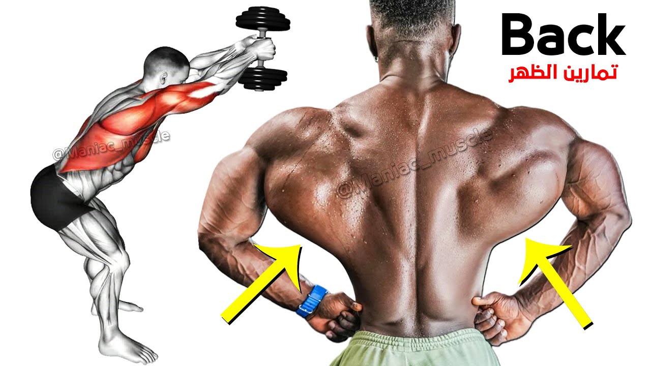 BEST BACK WORKOUT | Targets: Lower Back - Upper Back - Middle Back ...