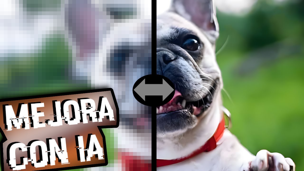 Mejorar la calidad de las imagenes con inteligencia artificial ...