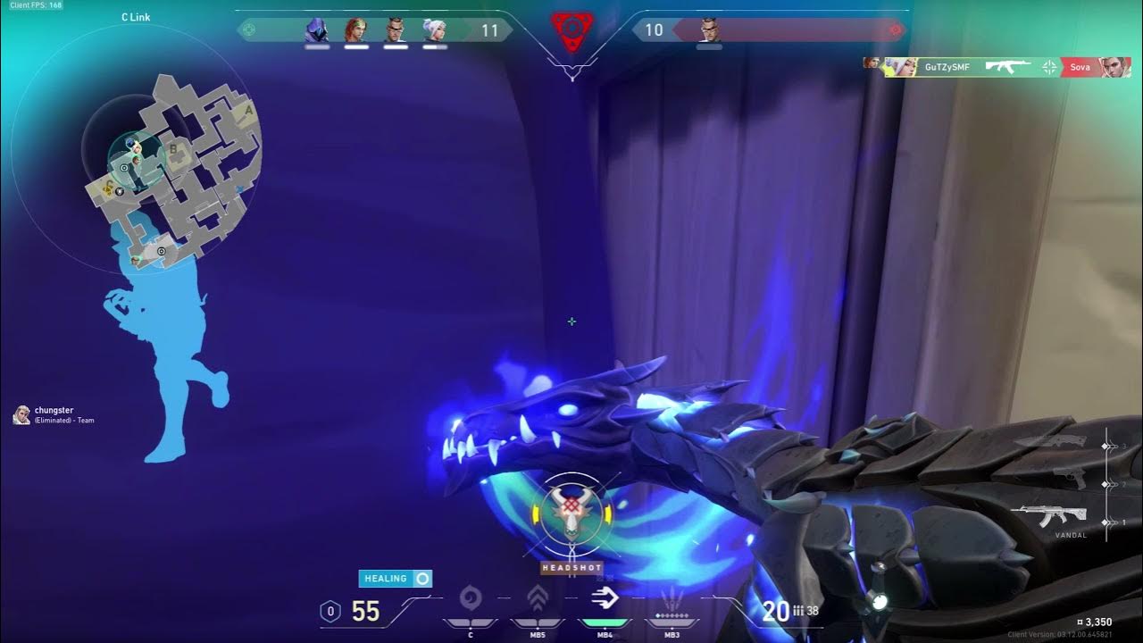 C Placement Exp Youtube