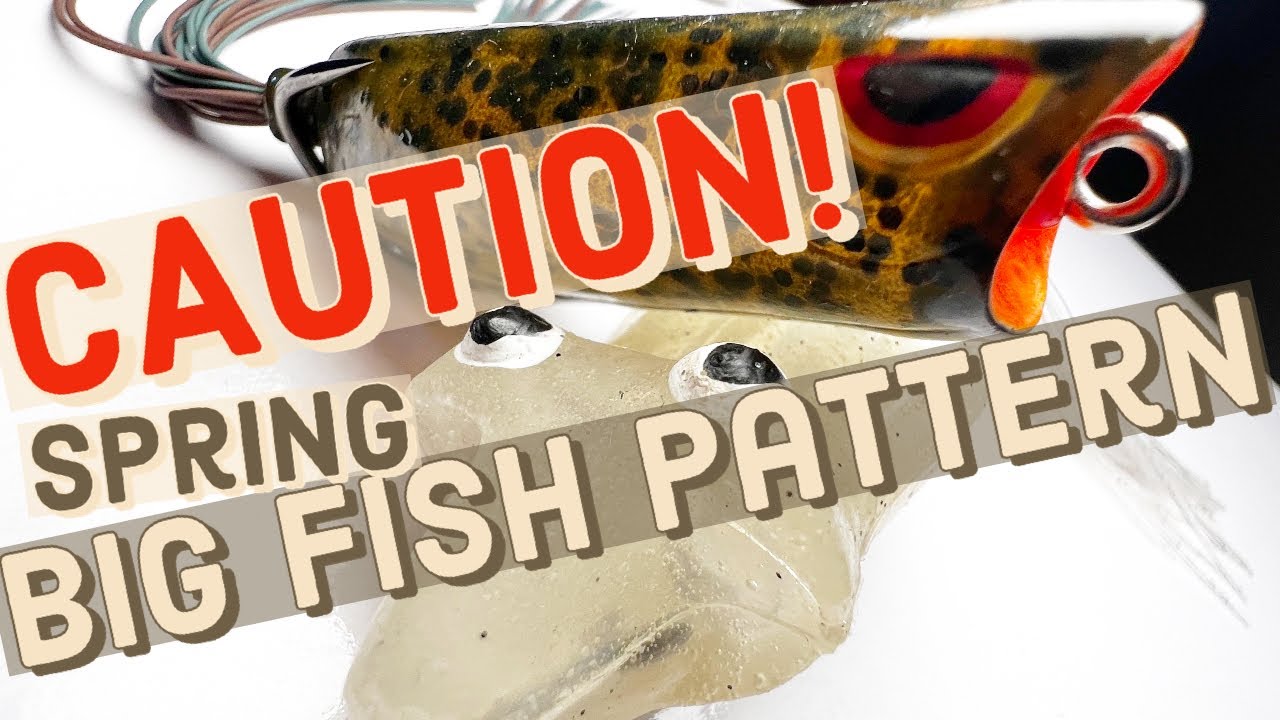 Sneaky Prespawn Spawn Big Bass Pattern - YouTube