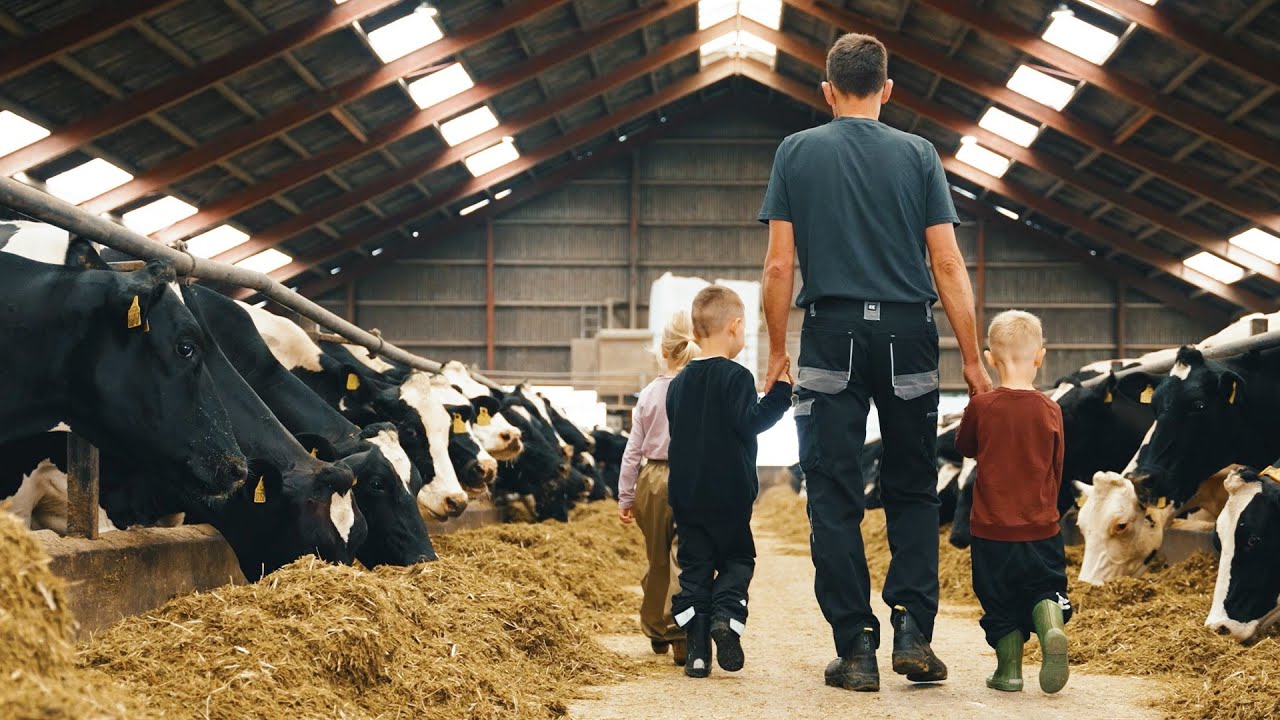 Arla | ÅBENT LANDBRUG 🎥 - YouTube