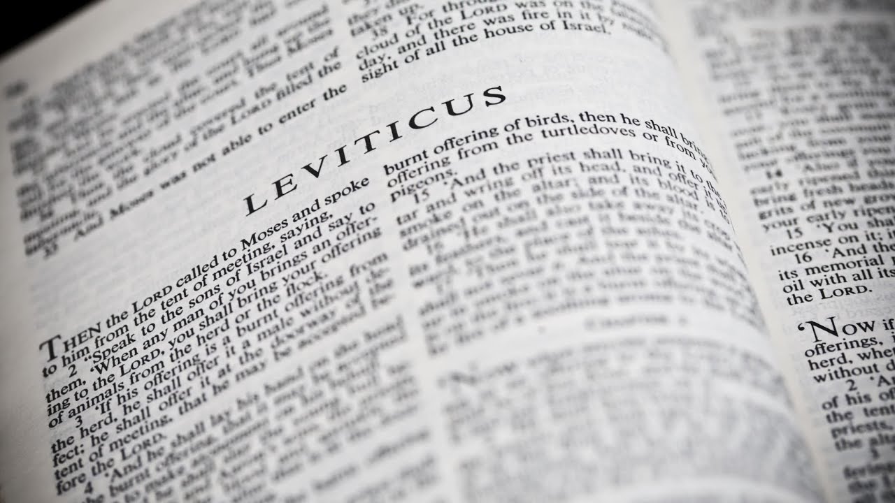 The Book of Leviticus: Chapter 5 (KJV) - YouTube