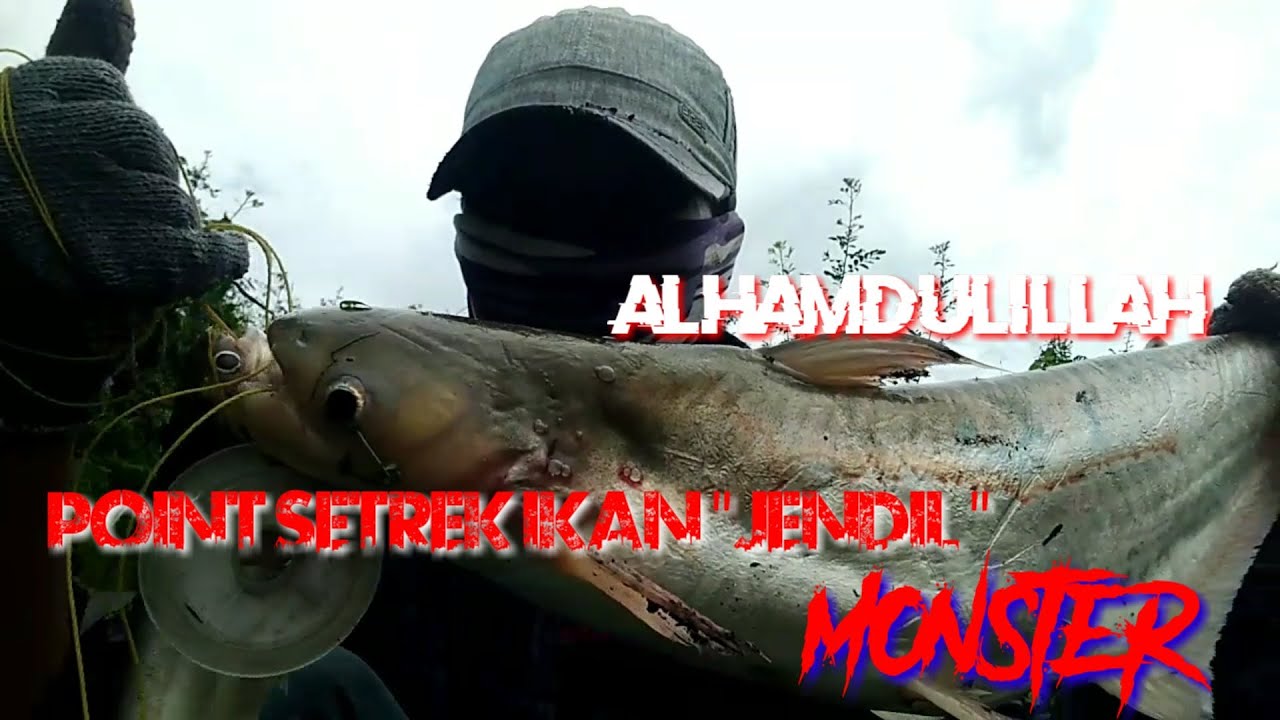MANCING DIHARI INI ,, BIKIN "GEMETARAN" POINT STREK IKAN JENDIL MONSTER ...