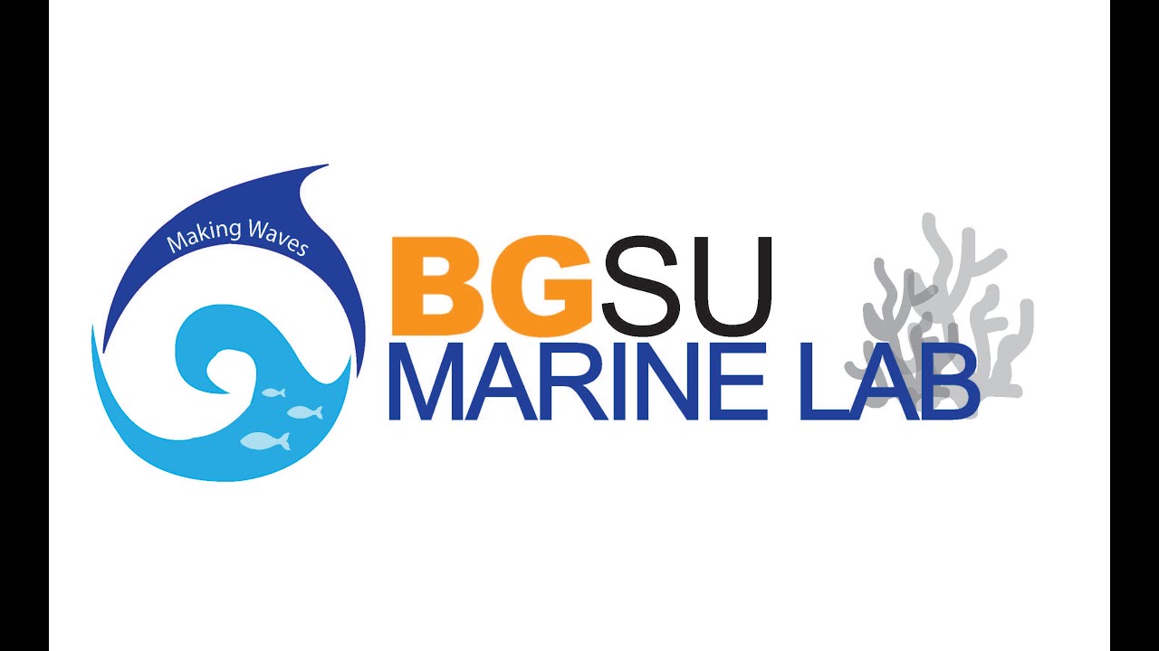 Marine Lab Training Series: #1- Introduction - YouTube