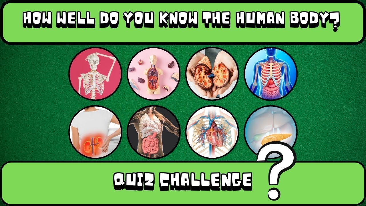 The FASTEST Way To Improve Your HUMAN BODY Knowledge In Just 5 Minutes ...