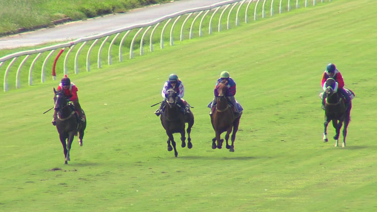 Short Jump Outs Rockhampton 10 March 2020 No1 - YouTube