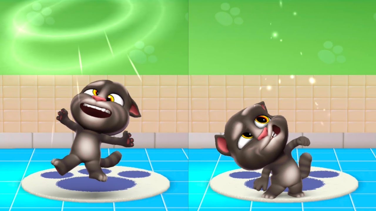 My Talking Tom 2: Tom 2 funny video, Fun with Tom, talking tom shorts ...