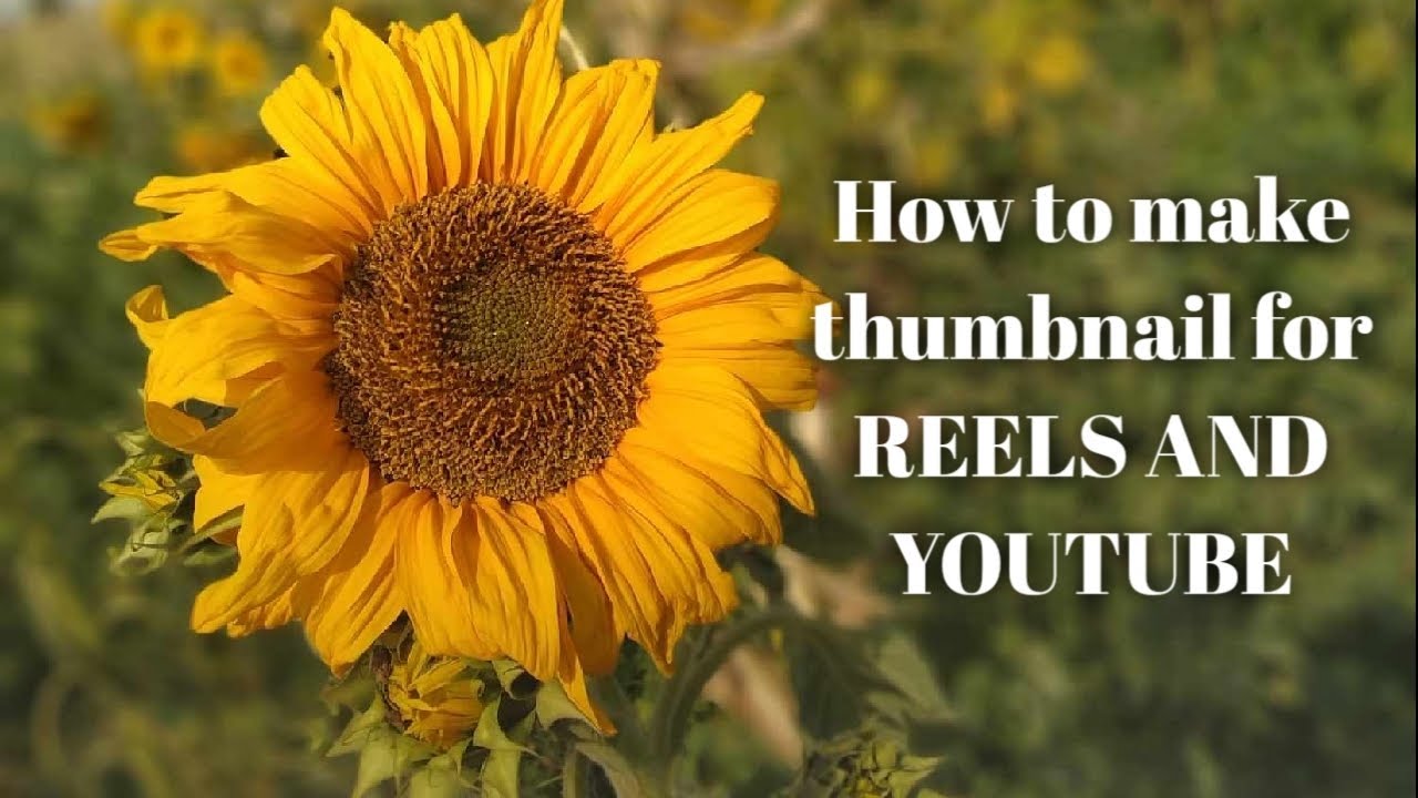 HOW TO MAKE THUMBNAIL FOR REELS AND YOUTUBE #thumbnail #reels # ...