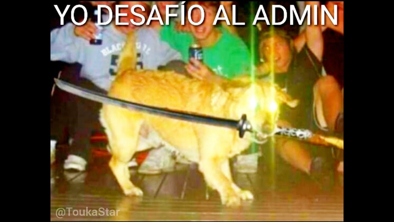 YO RETO AL ADMIN!!!!!! - YouTube