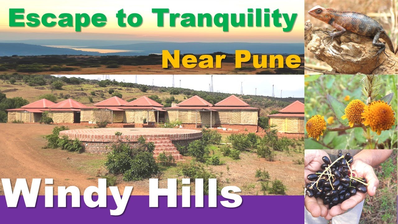 Escape to Tranquility: Rustic Nature Retreat at Windy Hills Agro ...