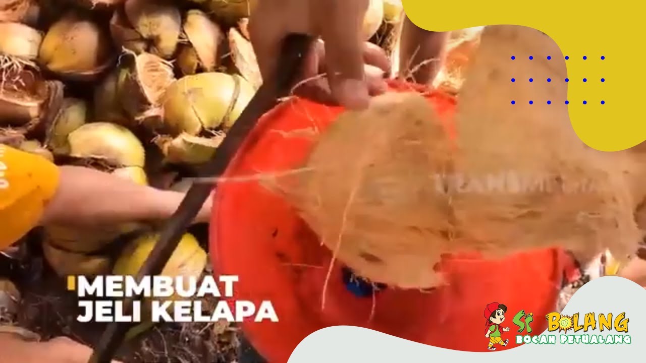Membuat Jeli Kelapa | SI BOLANG (27/01/23) - YouTube